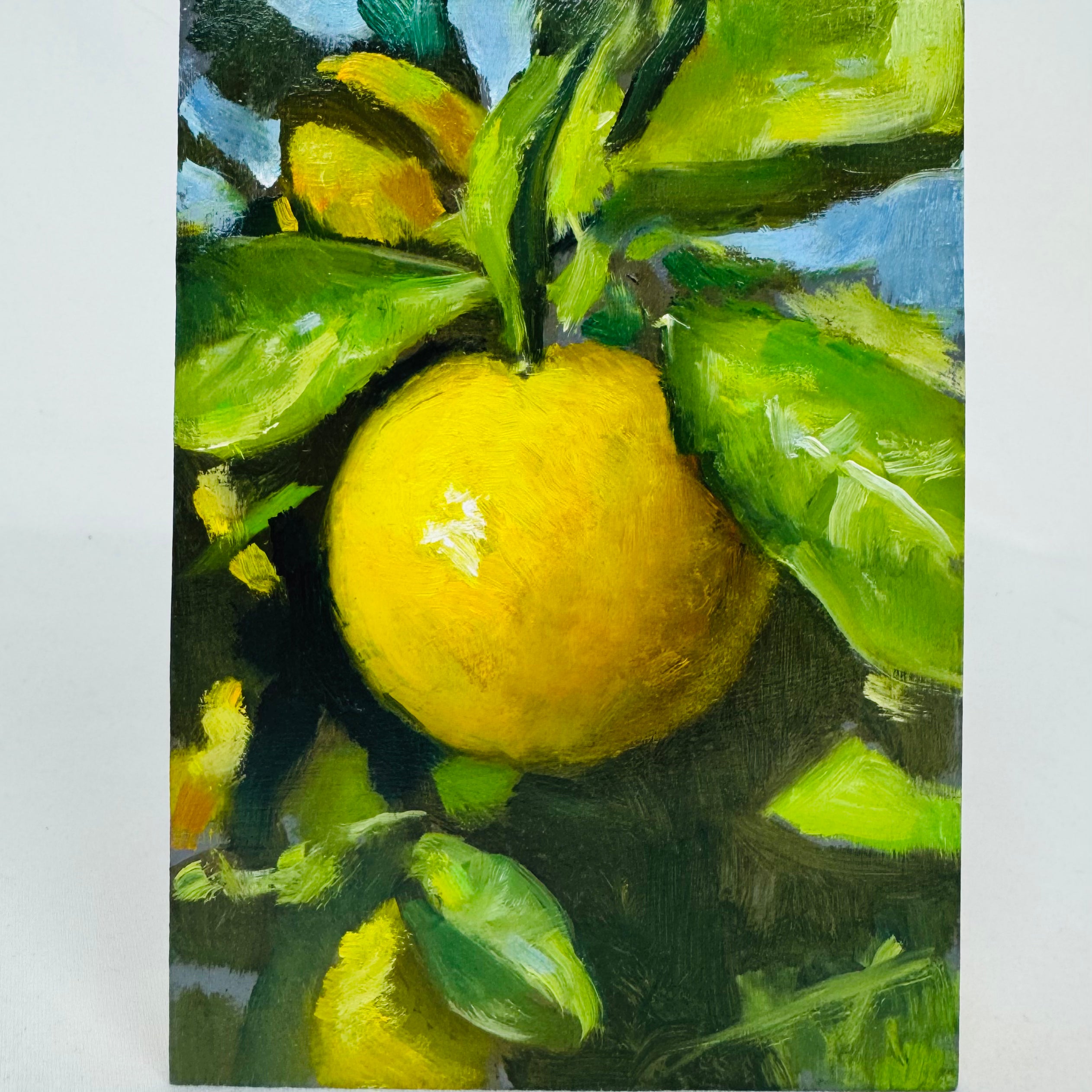 Tyler Pack – Four Lemons